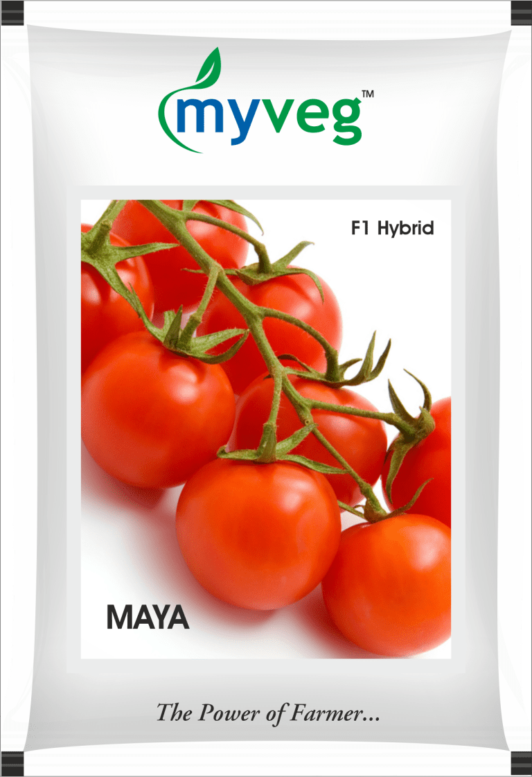 Hybrid Vegetable Seeds - Proven Results of Boosting Output